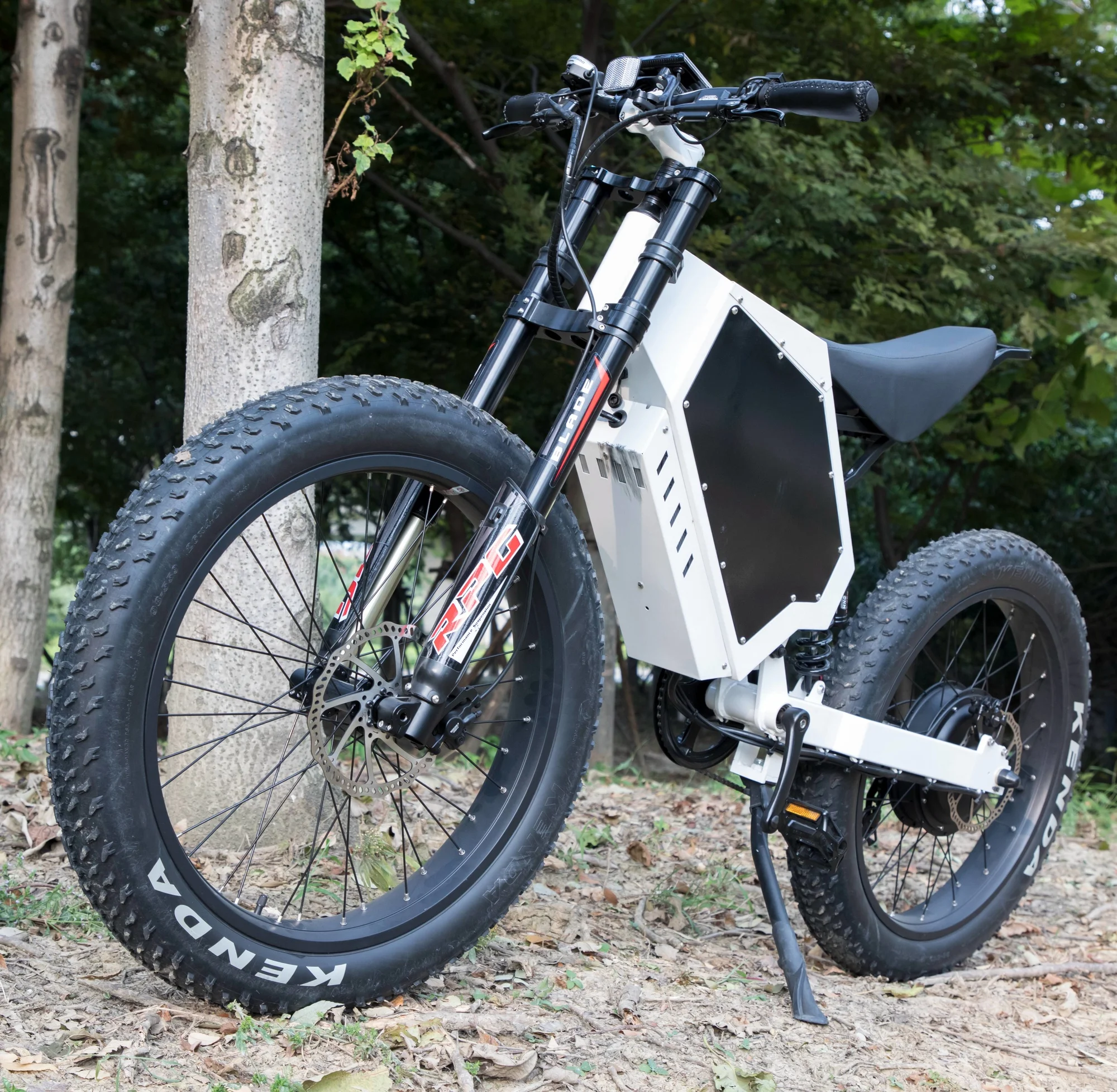 Most Attractive Steel Frame Fat Electric Bike Beach Cruiser 8000W Ebike ...