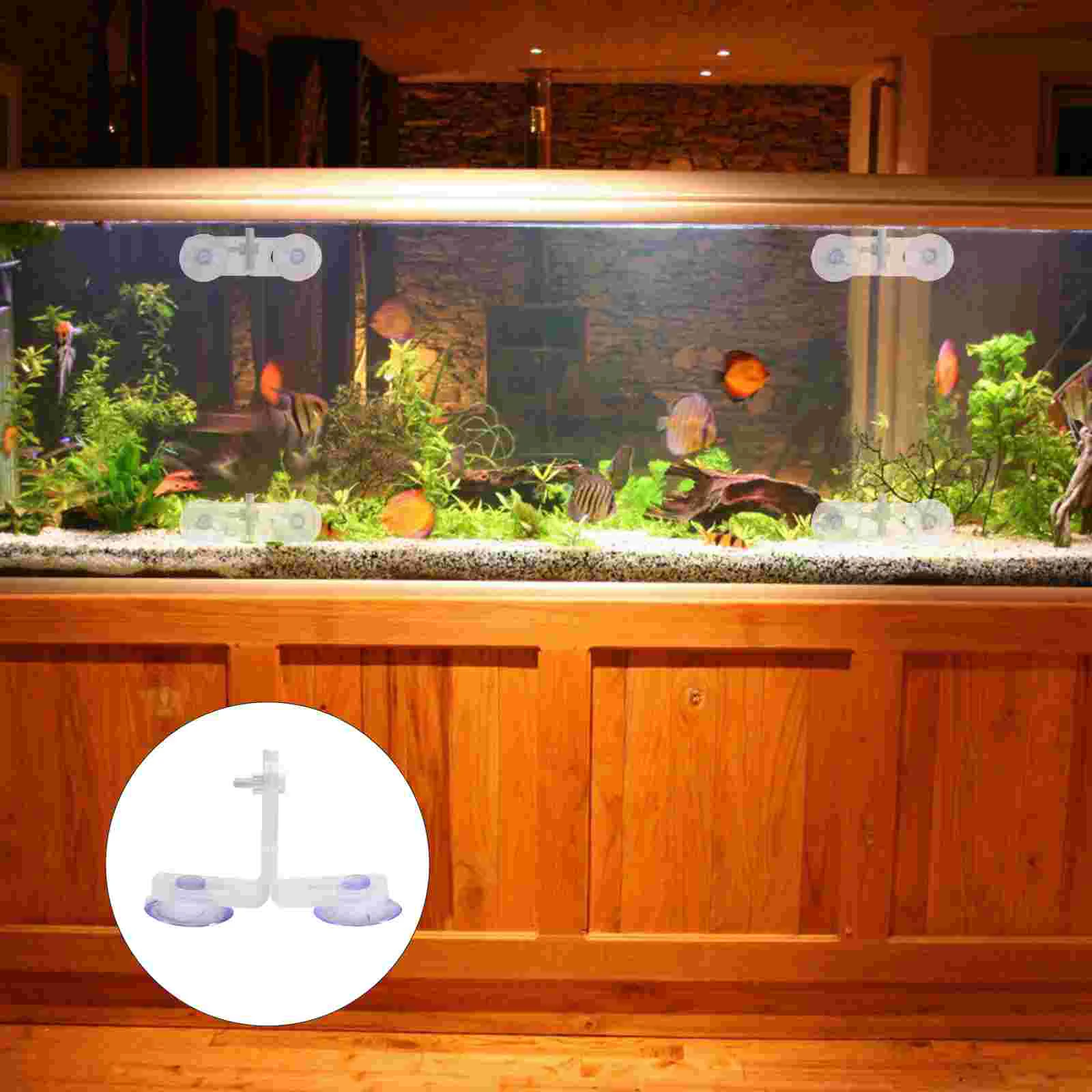 55 Gallon Fish Tank Guide (Best Fish, Setup Ideas,, 57% OFF