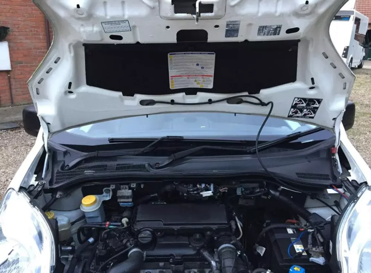 Store Home Products Summer Sale Feedback