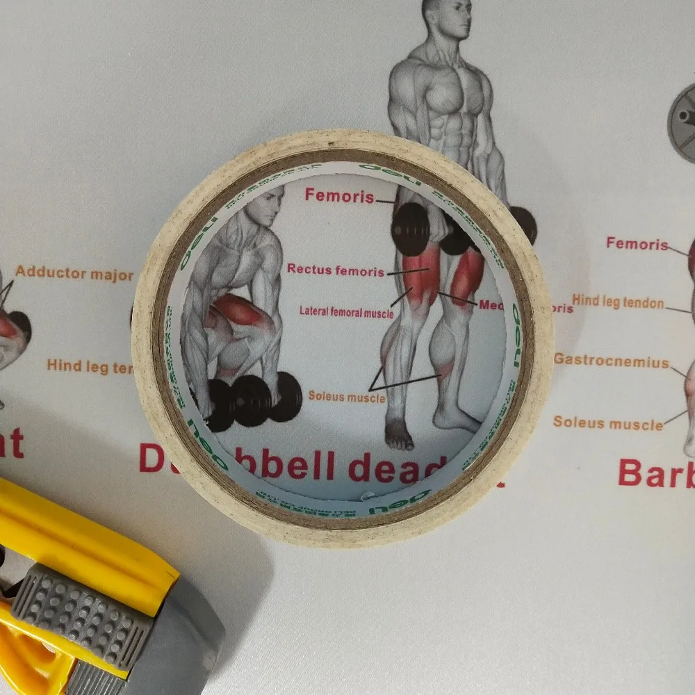 Muscular System Anatomical Poster Muscle Anatomy Chart Anatomical Chart ...