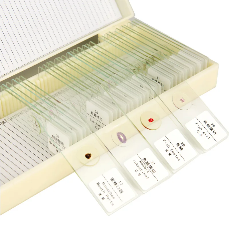 35Pcs-set-Microscope-Glass-Slides-Sample-Glass-Animal-Slide-Specimen ...