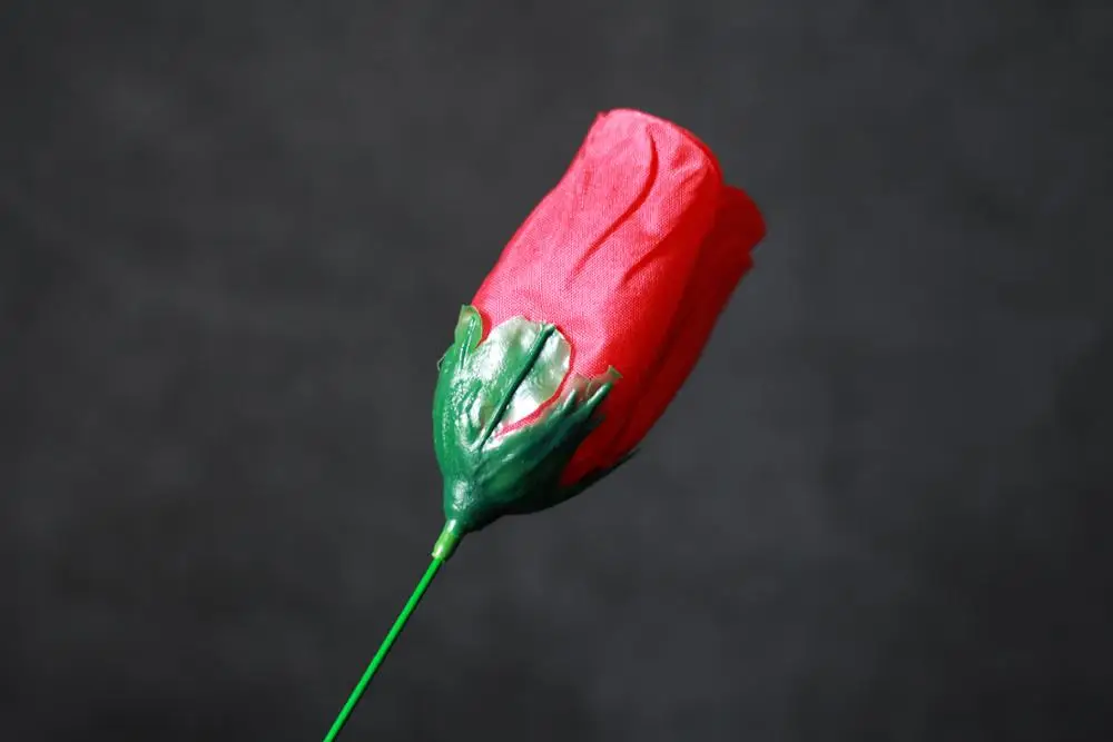 Automatic Torch To Flower - Torch To Rose - Fire Flame Appearing Flower ...