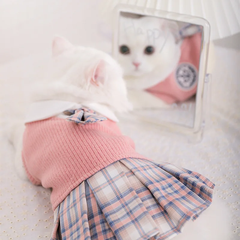 Cute Cats In Clothes