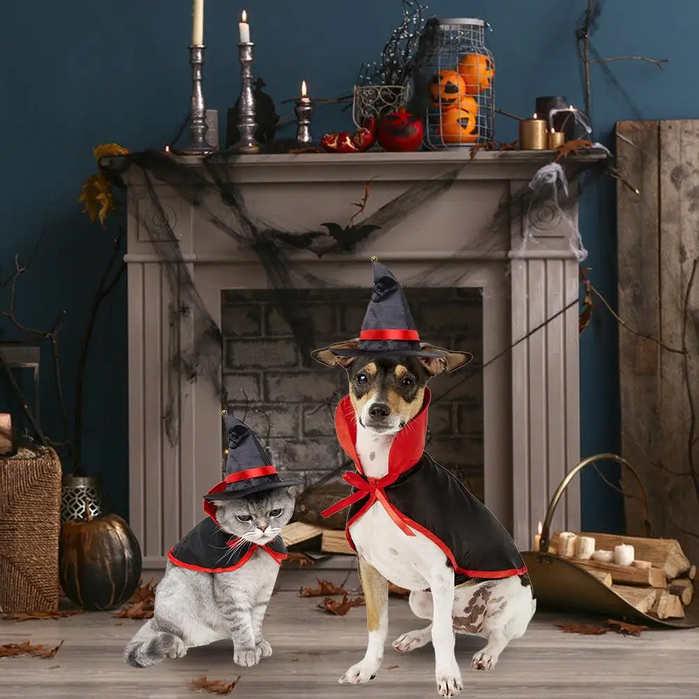 Cute Halloween Animal Costumes