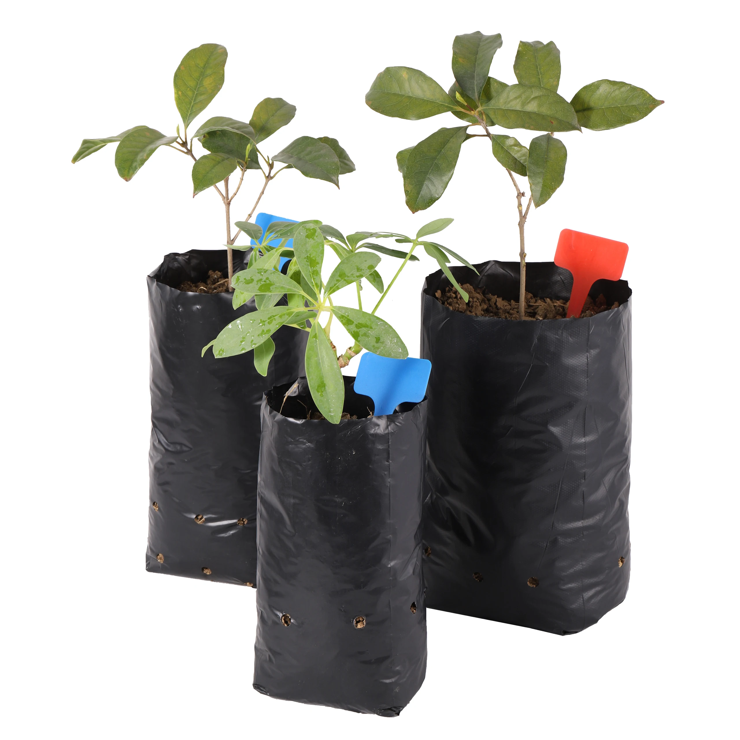 Black-PE-Plastic-Seedling-Planting-Bags-Nursery-Breathable-Pot-plant ...