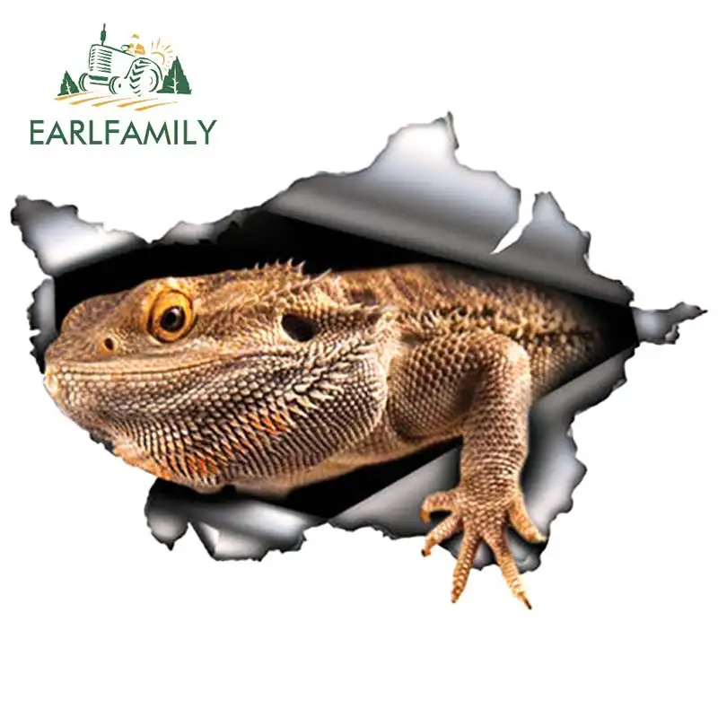 Bumper Stickers Paper Bumper or Laptop Bearded Dragon Sticker For Car ...