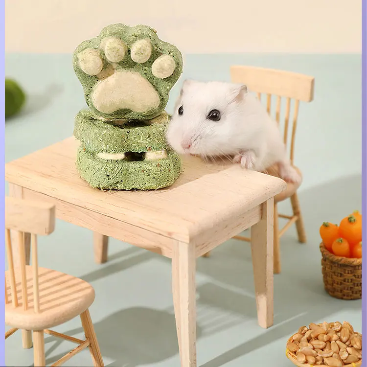 Syrian Hamster Teeth