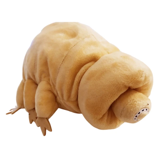 Cute Water Bear