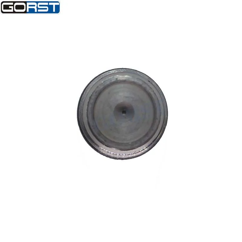 1110010018 Fuel Common Rail Pressure Relief Limiter Valve For Renault ...