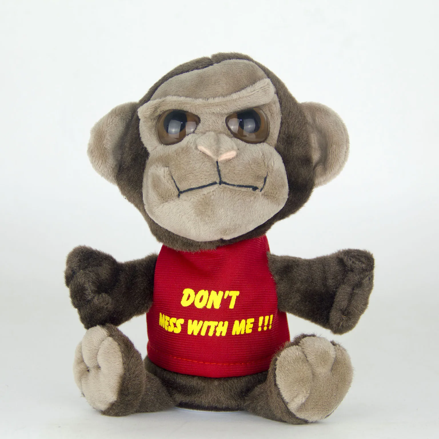 Funny Angry Monkey