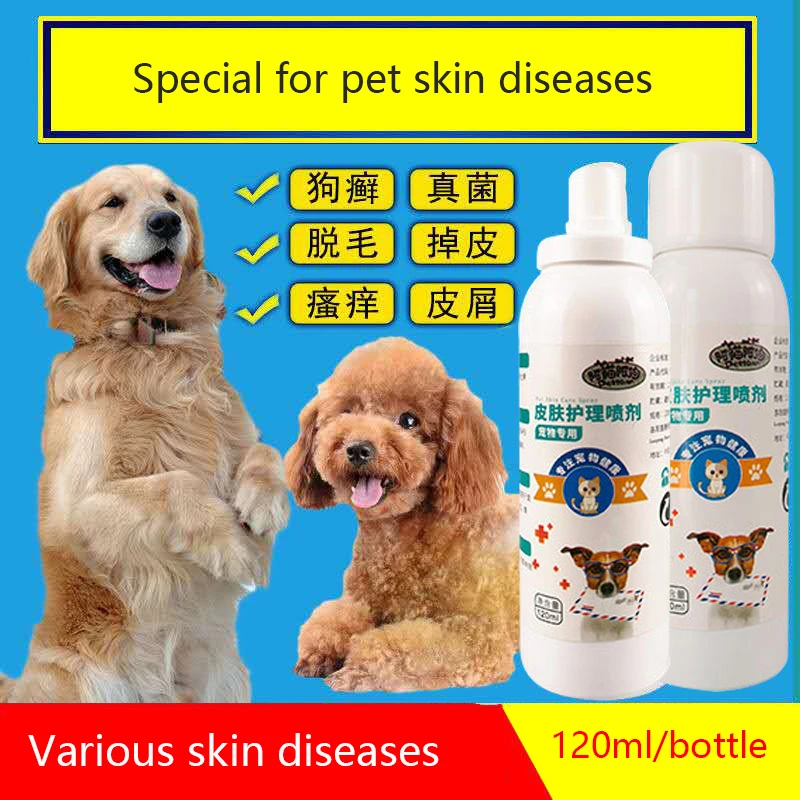 Is Moss Safe For Dogs