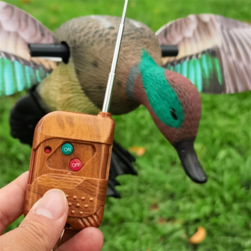 Modello Mimetico Anatra Comandante Anatra