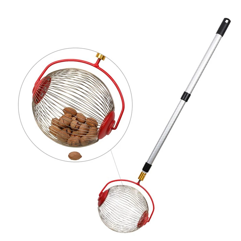Rolling Nut Harvester Ball Picker Stainless Steel Adjustable - NZshopsmart