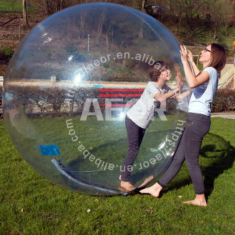 Human Sized Hamster Ball Empty