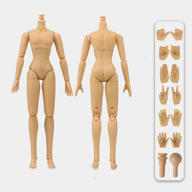 Ball Jointed Doll Body