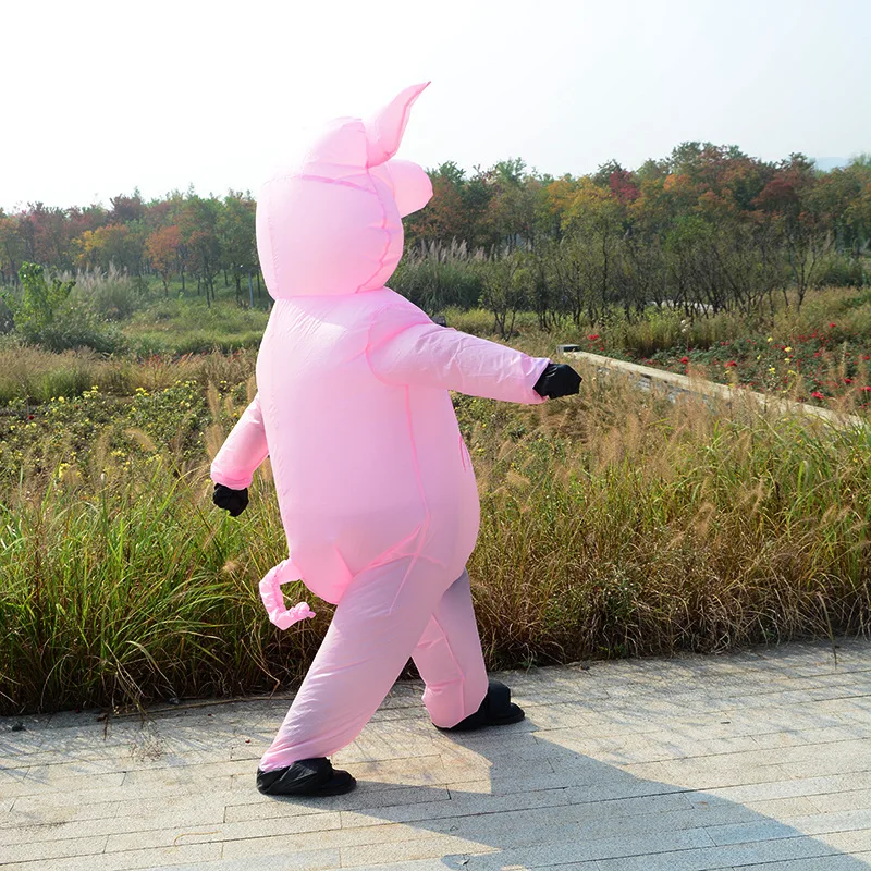 Pig Costumes For Adults