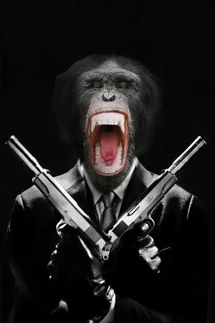 Angry Monkey With Gun