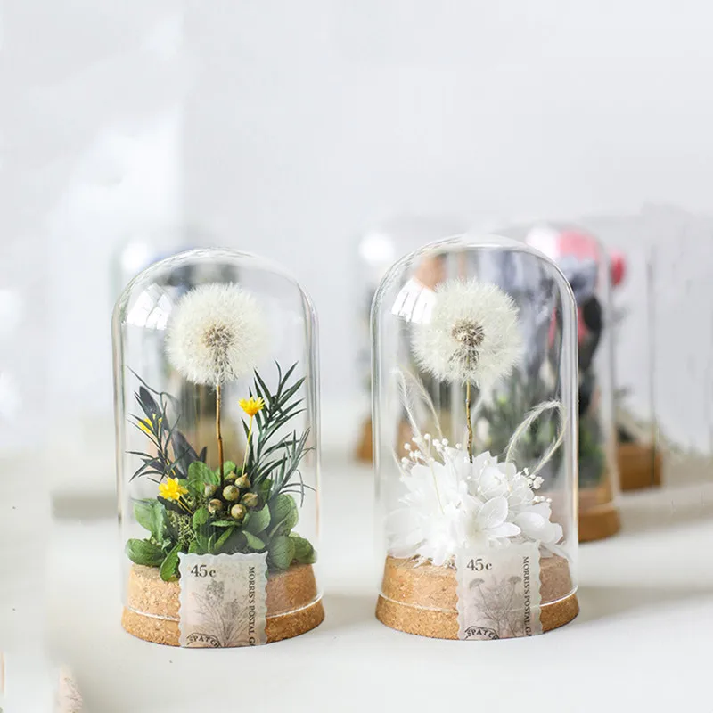 2sets-pack-5-7cm-Small-Size-Cork-Base-Glass-Dome-Home-Decoration-Dry ...