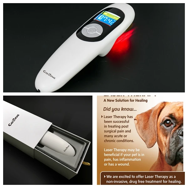 808nm and 650nm hand held bio laser therapy device with the low level ...