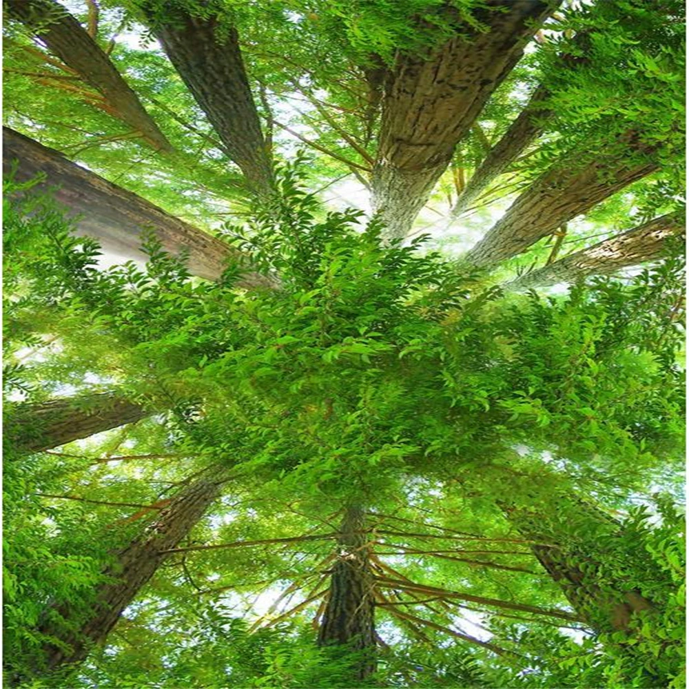 Custom 3d ceilings beautiful scenery wallpapers 3d landscape wallpaper ...