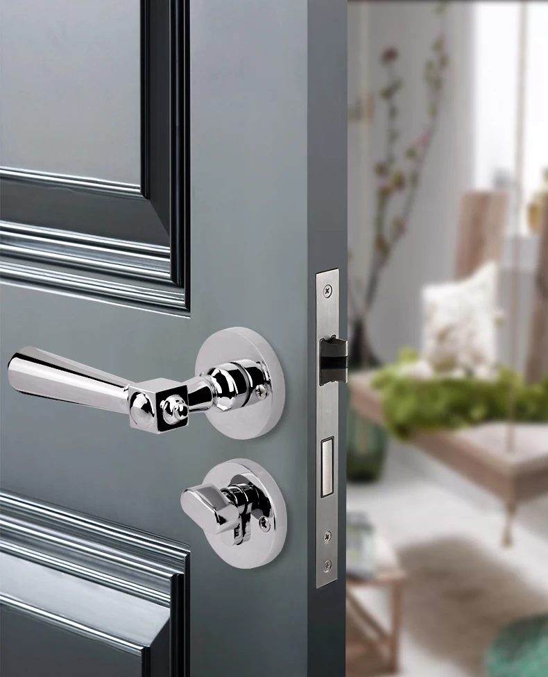 Interior Door Lock Types