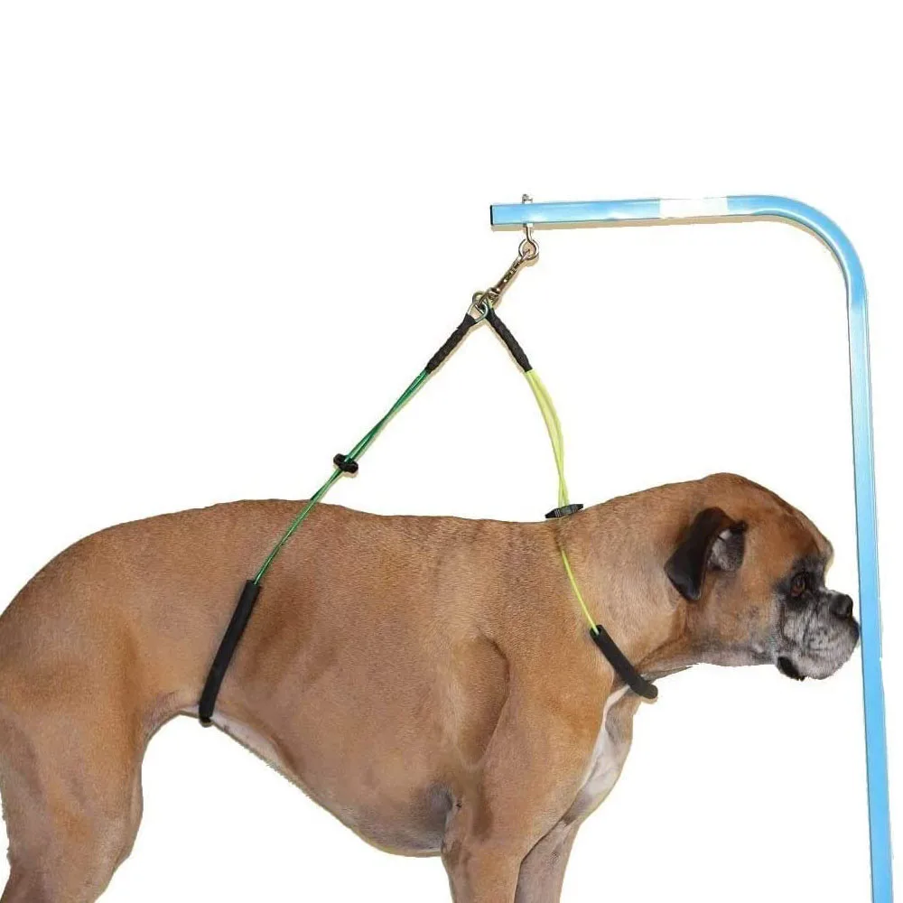 Dog Grooming Loop Dual No-Sit Haunch Holder Cat Grooming Stainless ...
