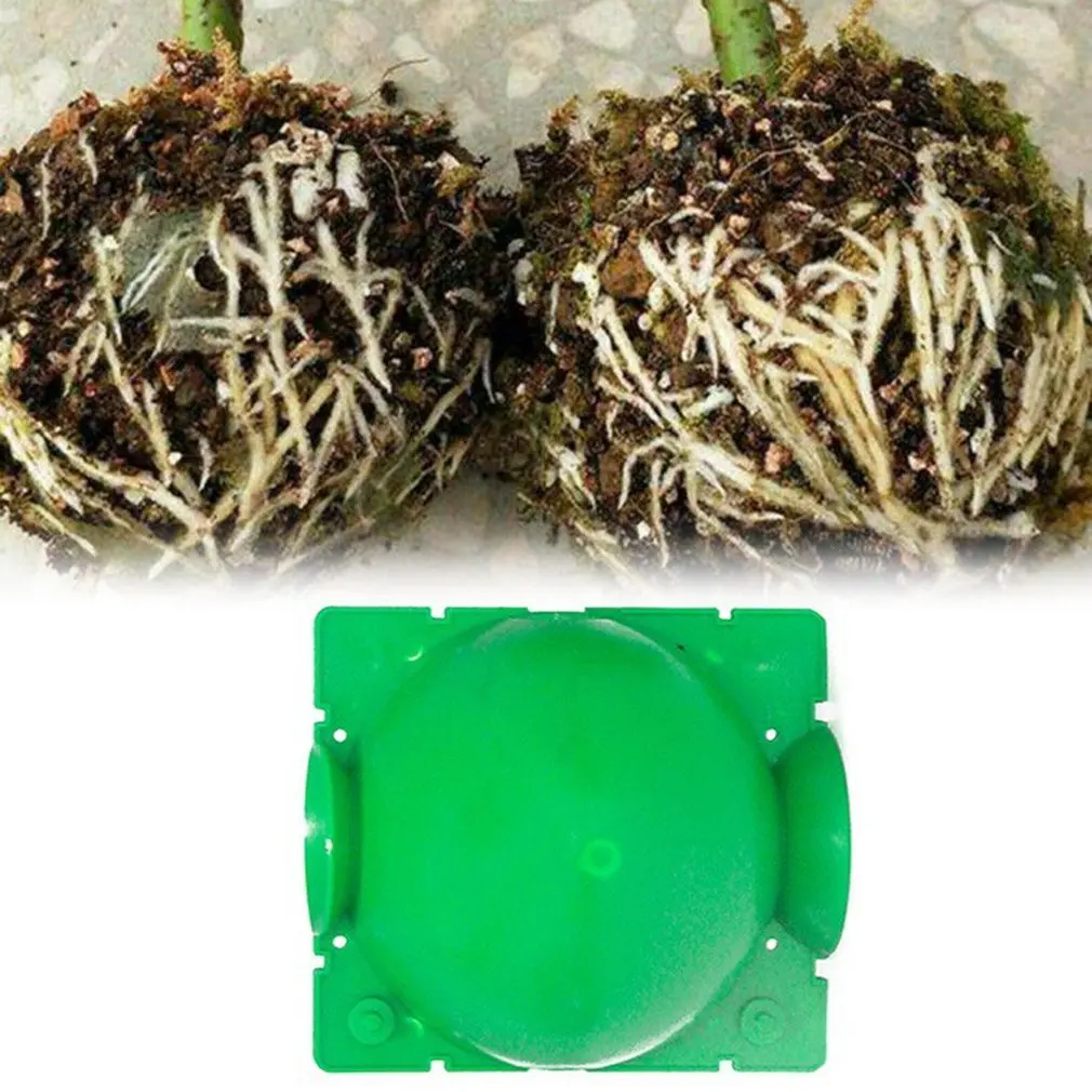Plant-Root-Growing-Box-Grafting-Rooting-Ball-High-Pressure-Gardening ...