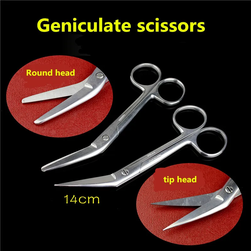 Types Of Medical Scissors