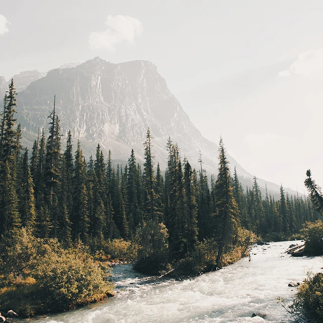 Tumblr Landscape Photography Forest