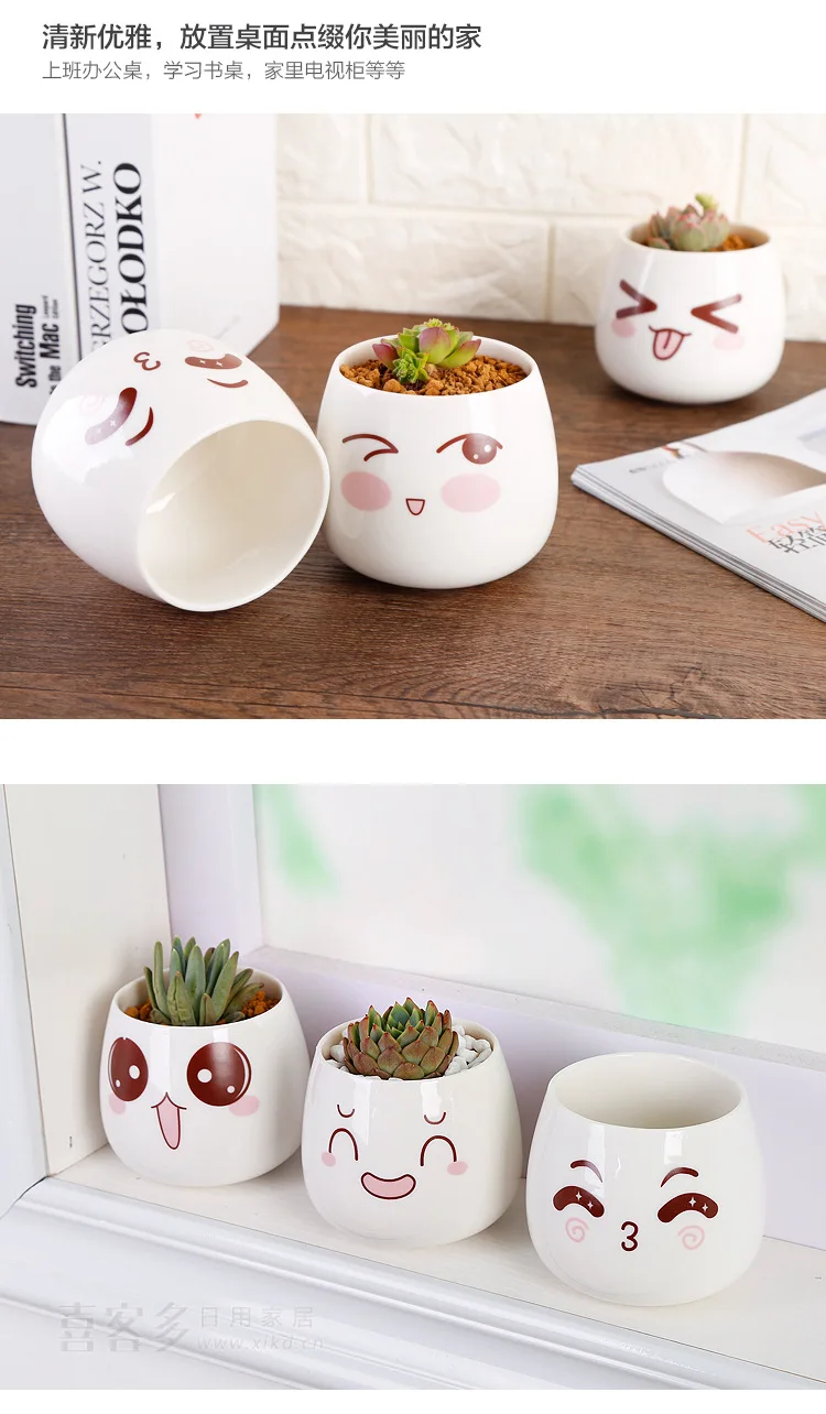 POT DE FLEUR,Disdain--Pots de plantes succulentes en céramique, style ...