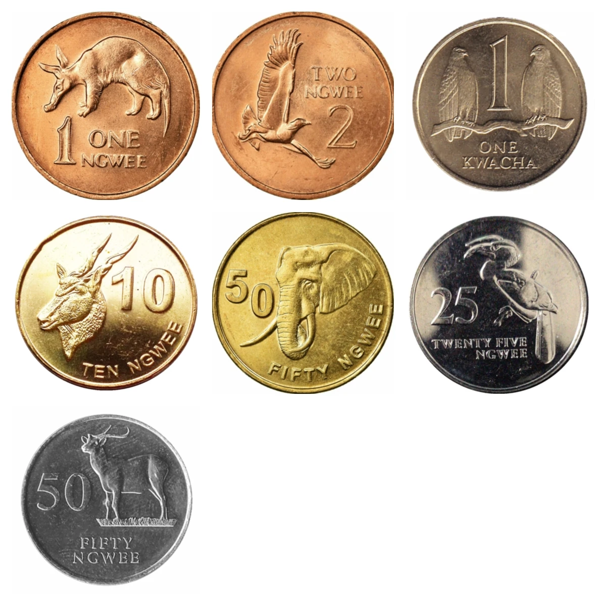 Set-7Pcs-Zambia-Coins-Africa-100-Real-Original-Coin-Collection-UNC-New.jpg