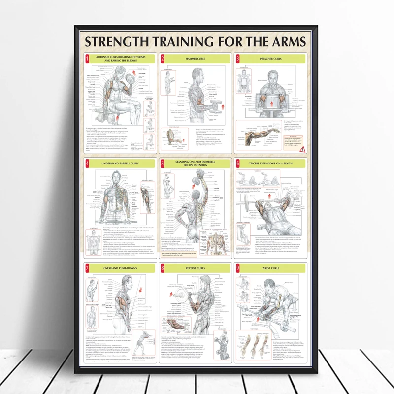 Exercise Chart For Arms