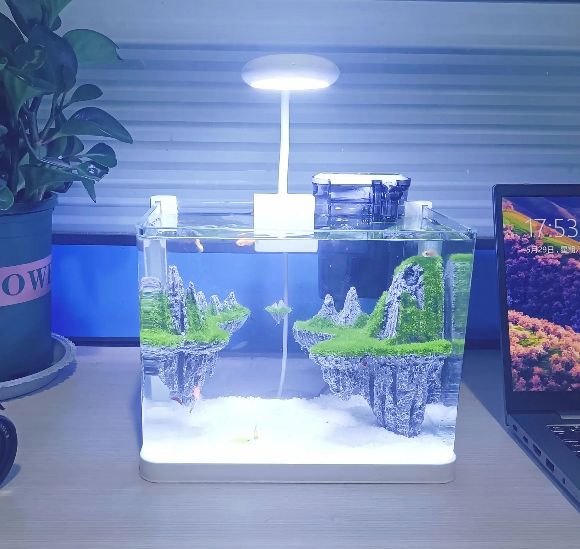 Minecraft Themed Fish Tank