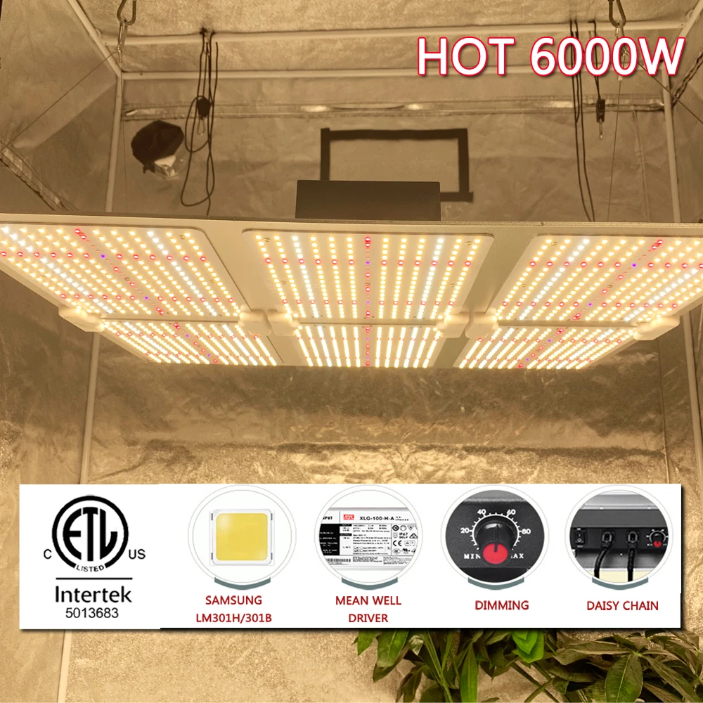 6000w/4000w/2000w/1000w Led Grow Light Samsung Lm301h Quantum Tech ...