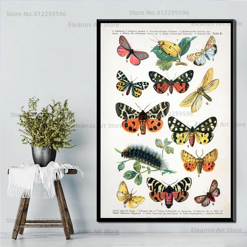 Vintage Butterfly Chart