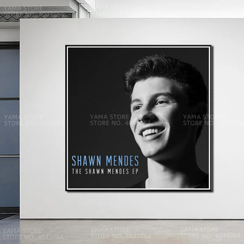 Shawn Mendes Braces