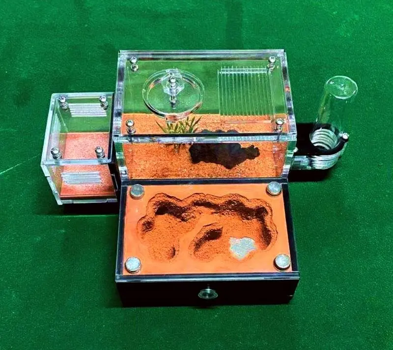 Valeur Fourmilière Ferme de fourmis avec tour d'eau externe et zone ...