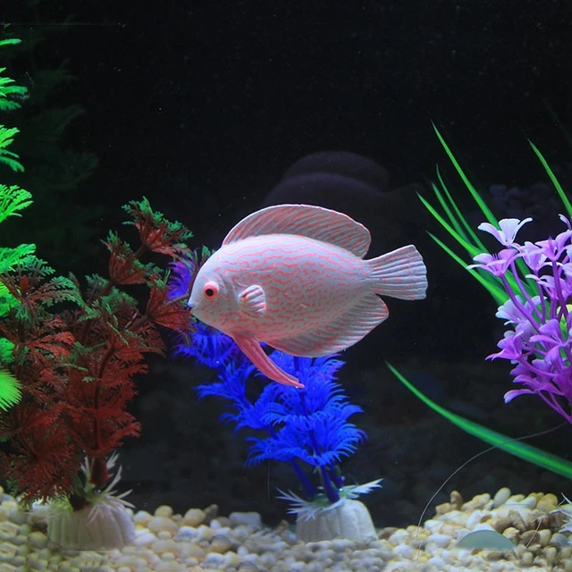 Glowing Pet Fish