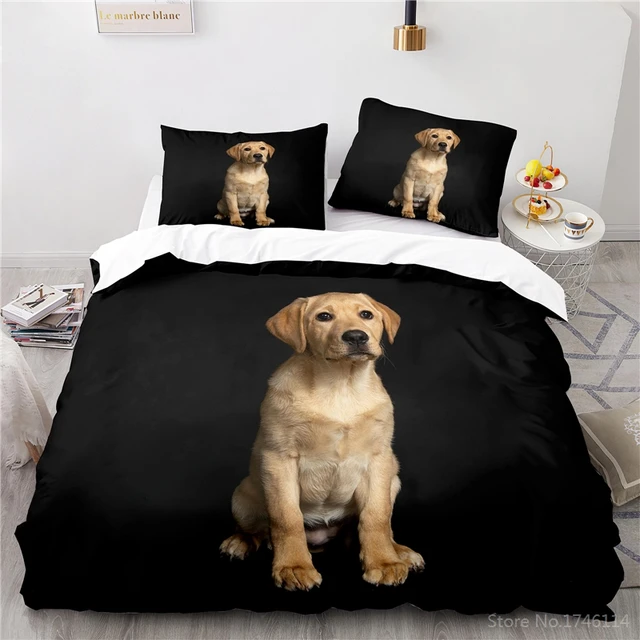 What Size Bed Would A Black Labrador Need