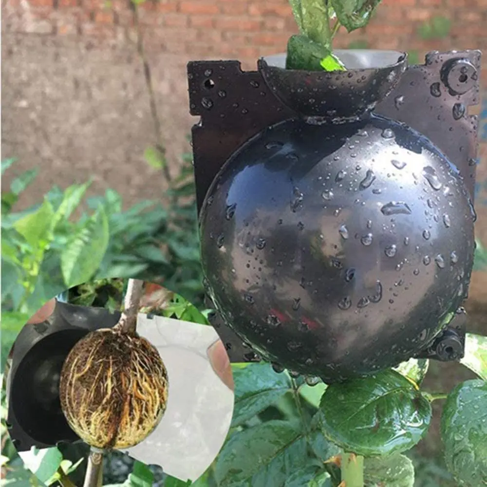 Jardiniere - bac a fleur,Boule d'enracinement de plante réglable ...