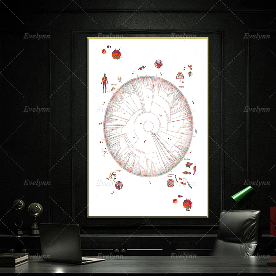 Phylogenetic Tree Of Life Wallpaper