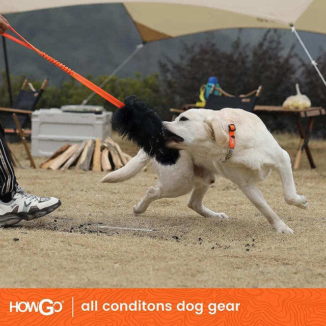 Dog Rope Toy Interactive Pet Dog Bungee Toy with Rubber Ball Dog Tug ...