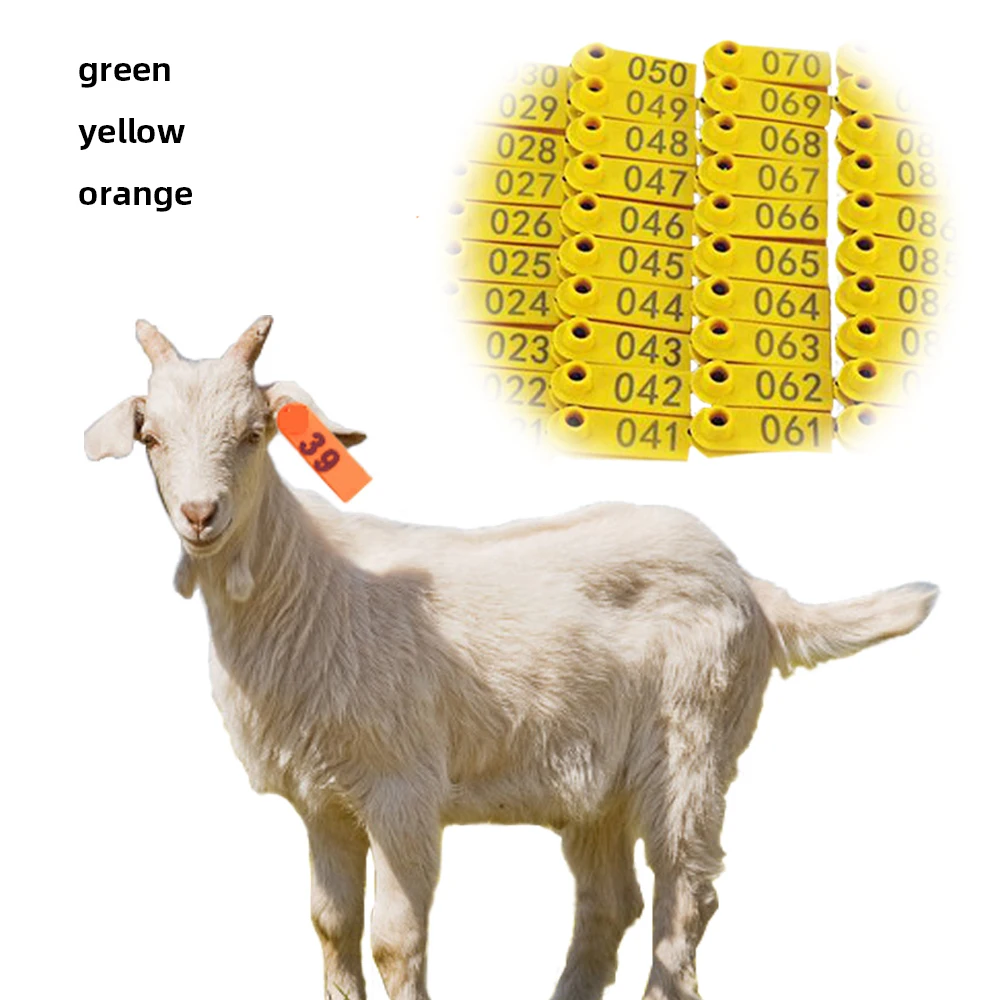 100 Pcs Sheep Ear Tag Livestock Ear Tag With The Words Animal ...
