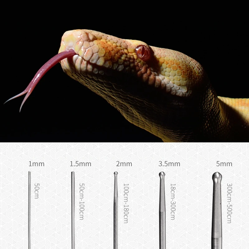 Voremantic Stomach