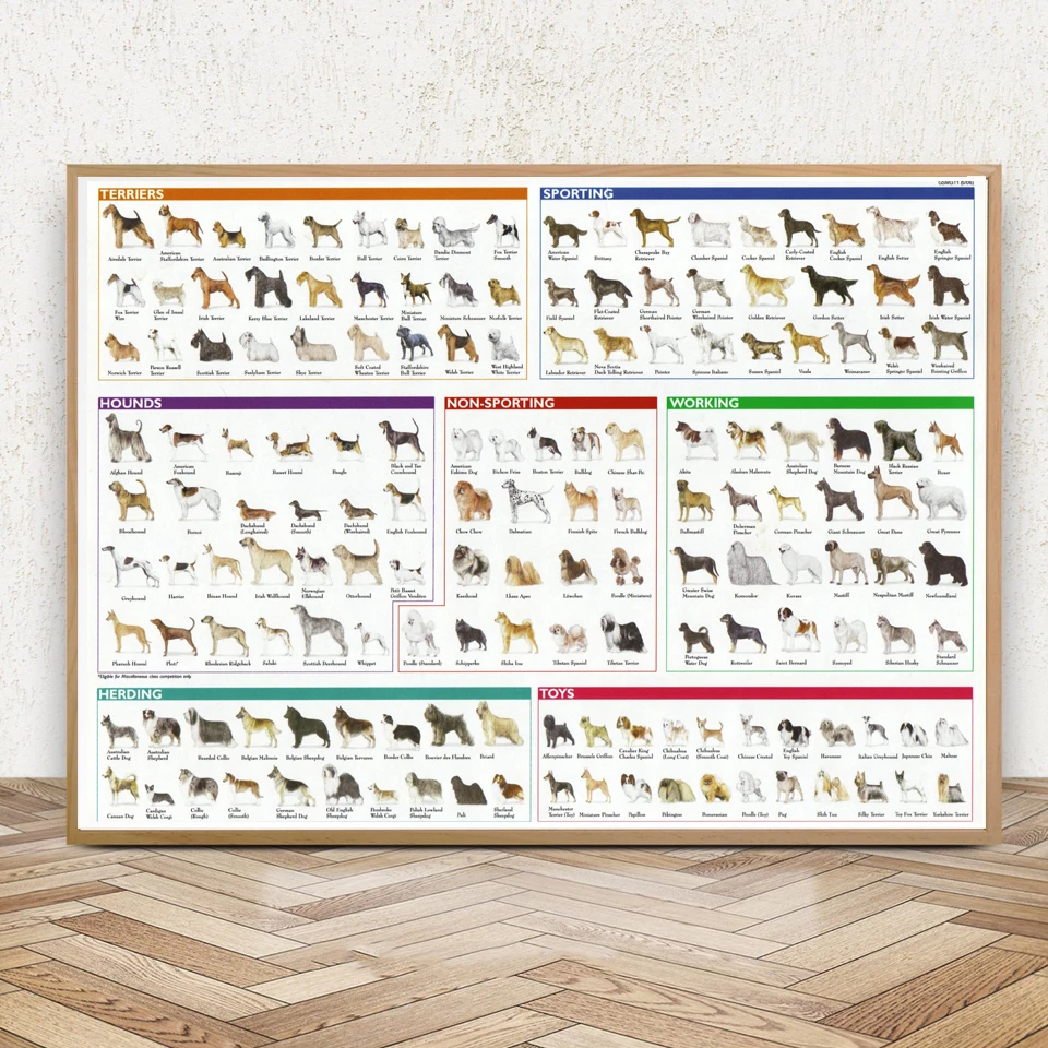 Dog Breed Poster