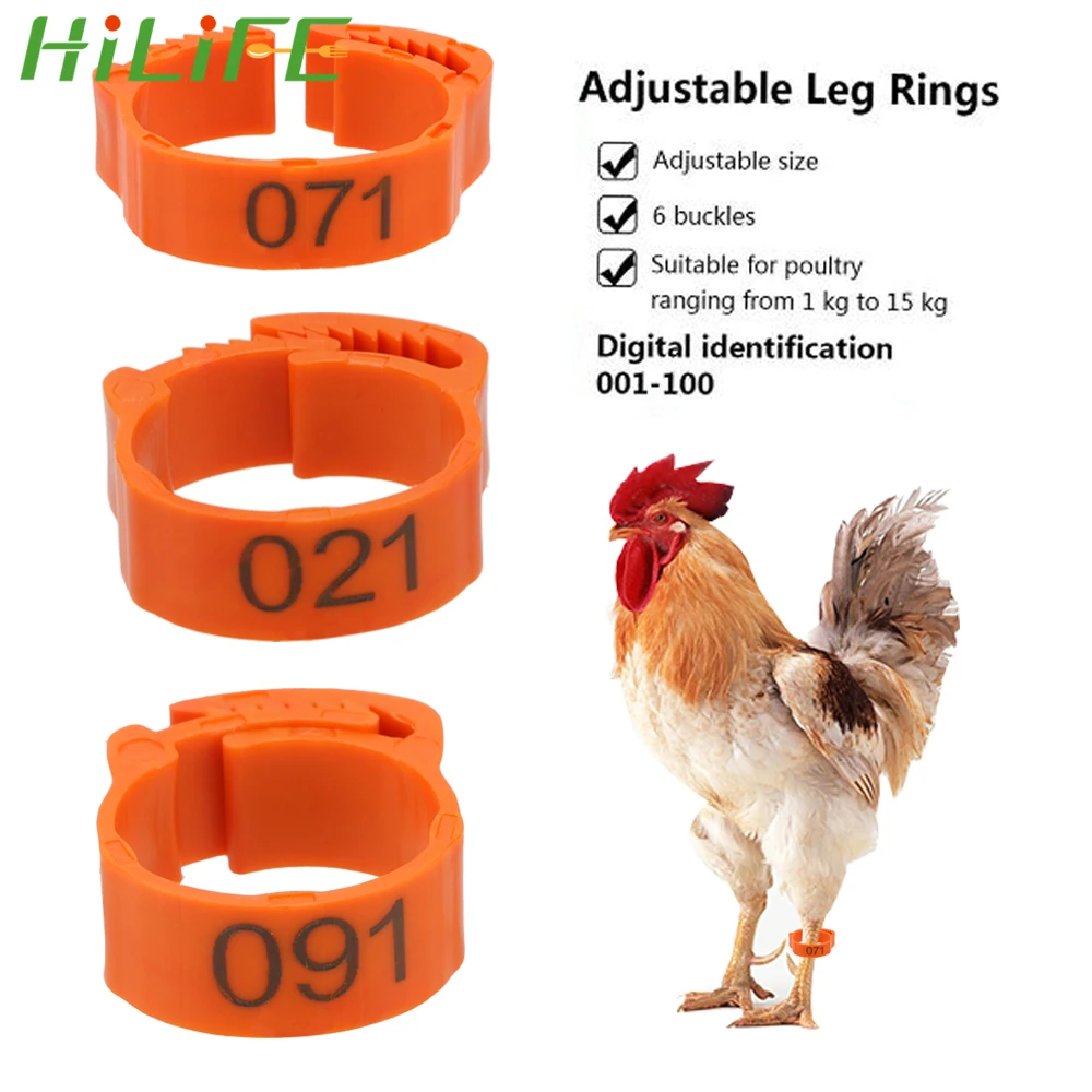 Chicken Rings 100pcs Adjustable Cock Leg Foot Ring Chickens Supplies ...