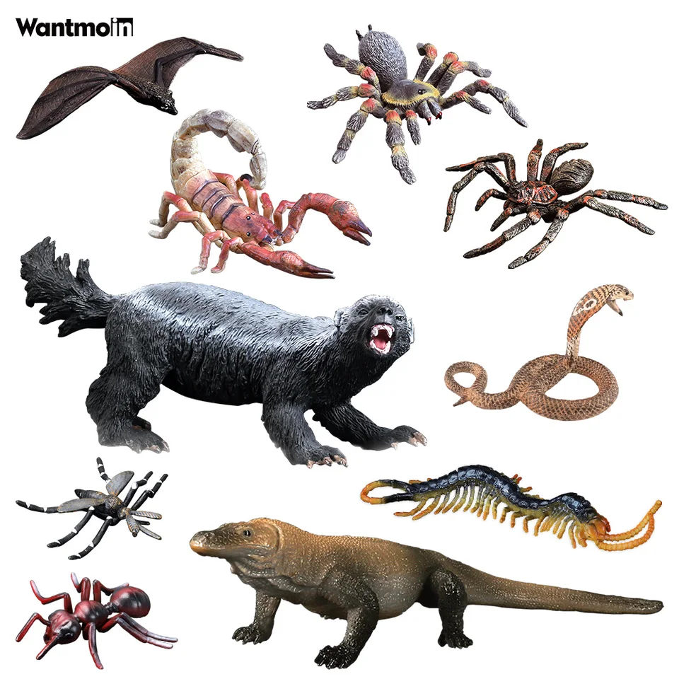 Komodo Dragon Vs Honey Badger