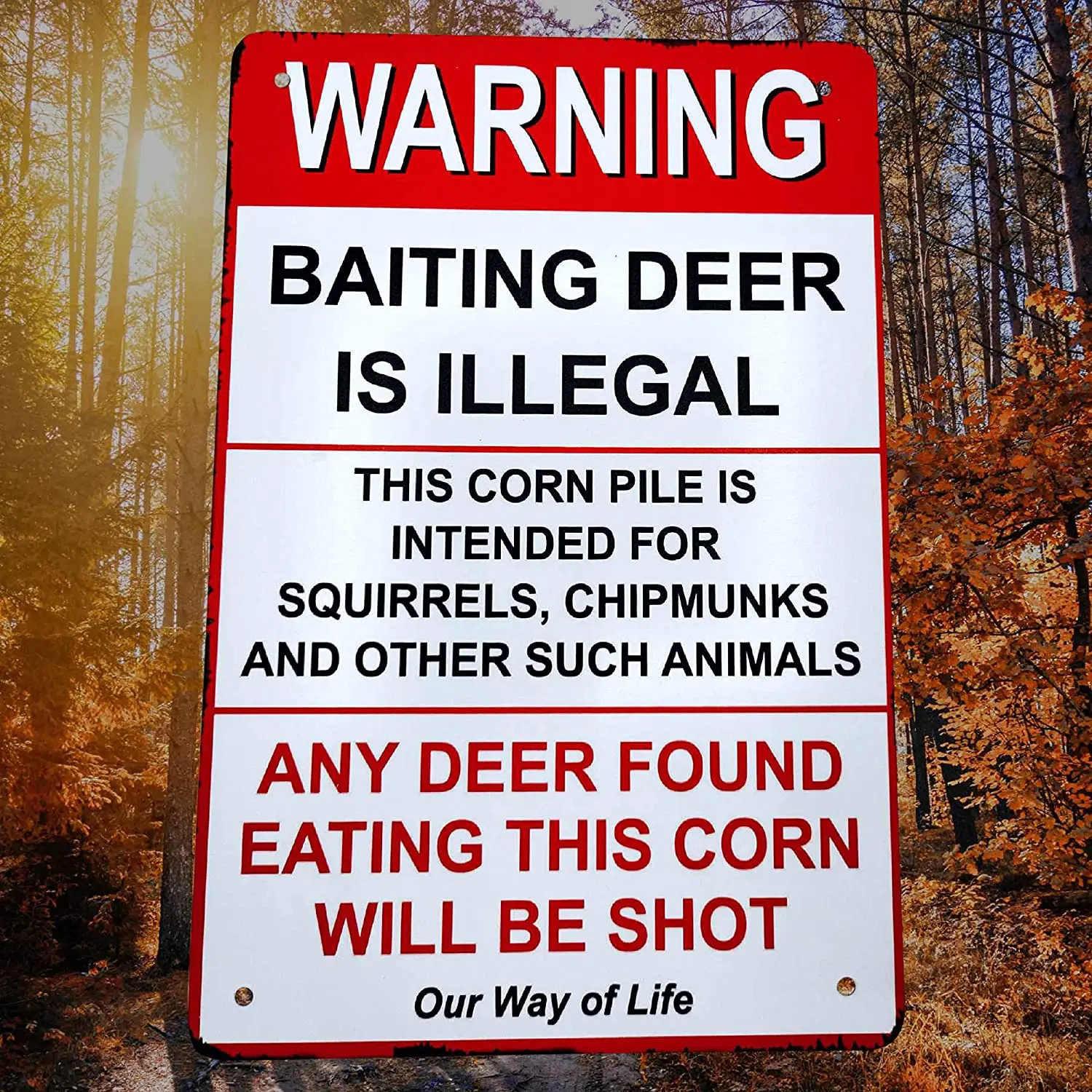 Illegal Baiting