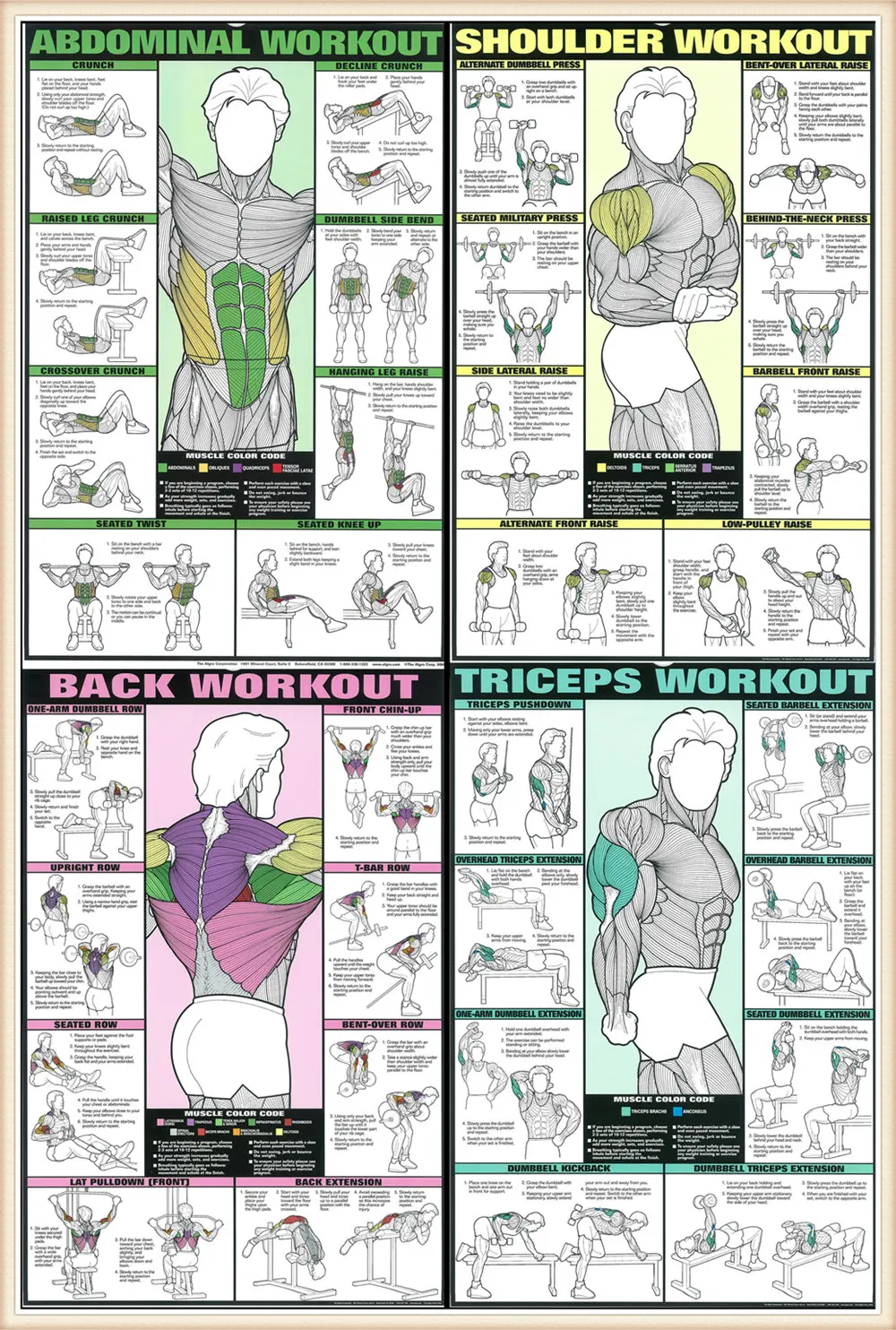 Triceps Workout Poster