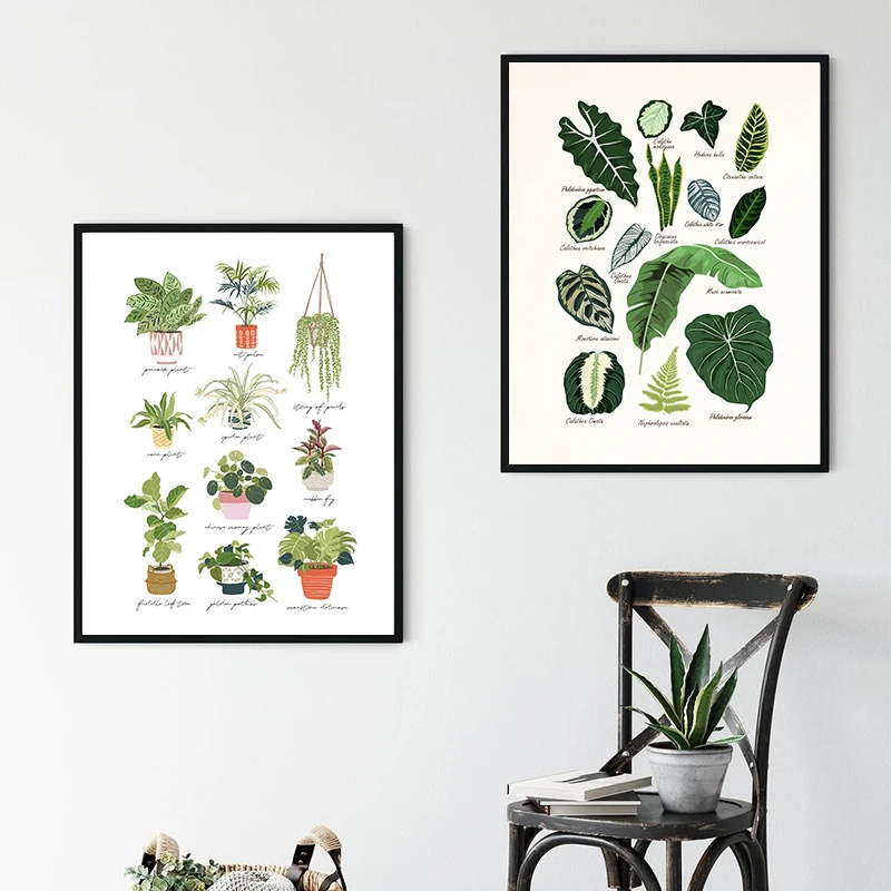 House Plants Canvas Painting Indoor Botanical Wall Art Pictures Plant ...